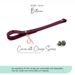 The Best Muzzle Options for XL Bully Breeds: A Comprehensive Guide– The ...